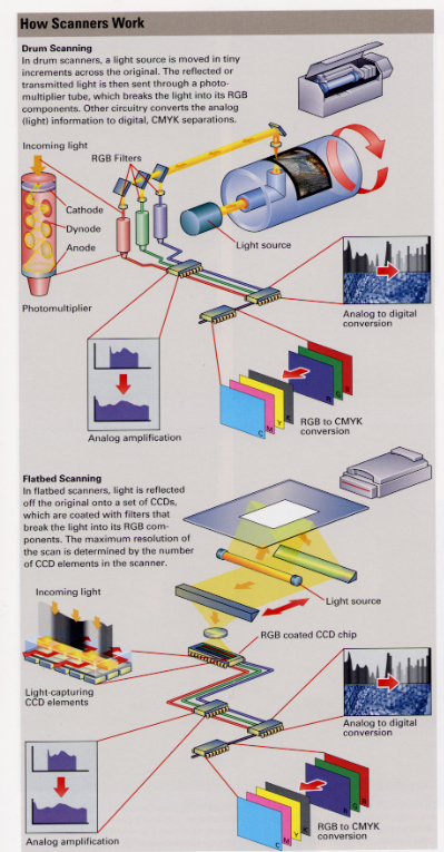 soma.sbcc.edu - /users/Russotti/111/read_mes/images/