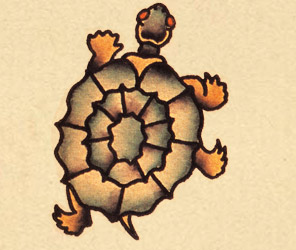 soma.sbcc.edu - /users/gallegos/ideas/